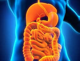 index - Precision Upper GI